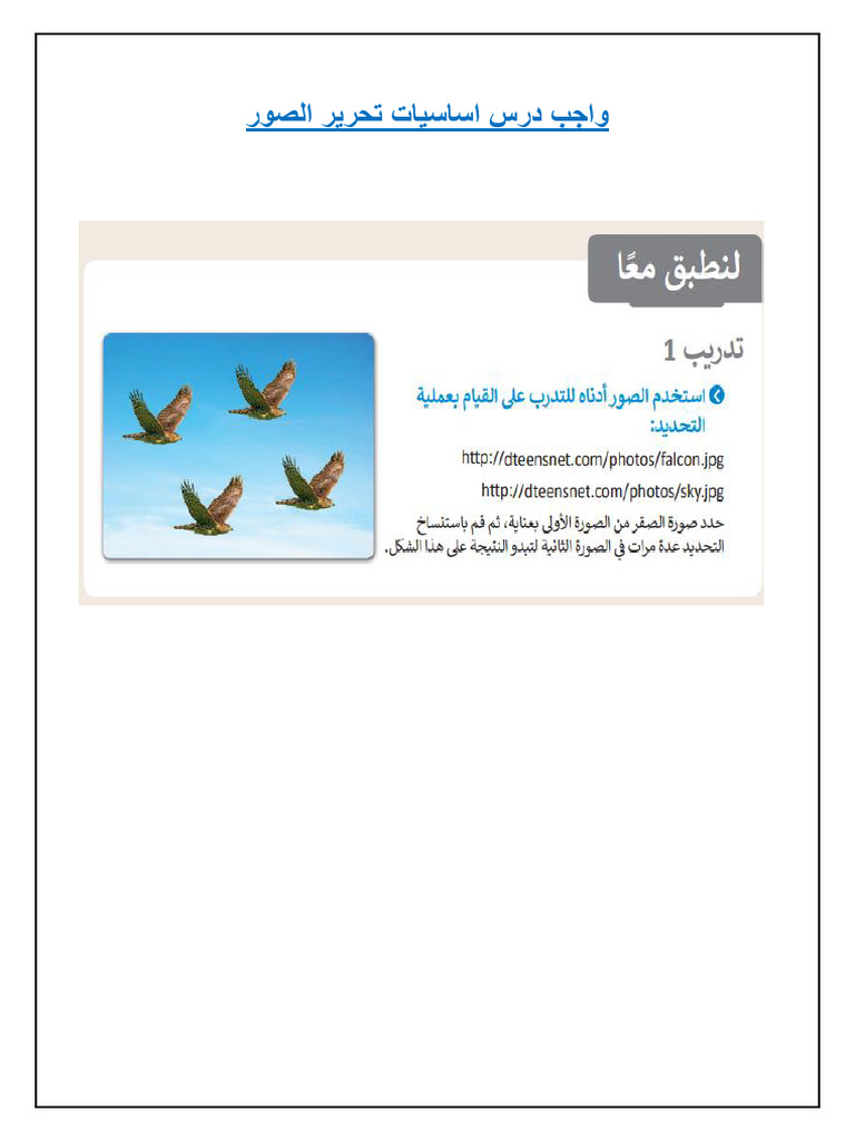 English Grammar Answers | PDF