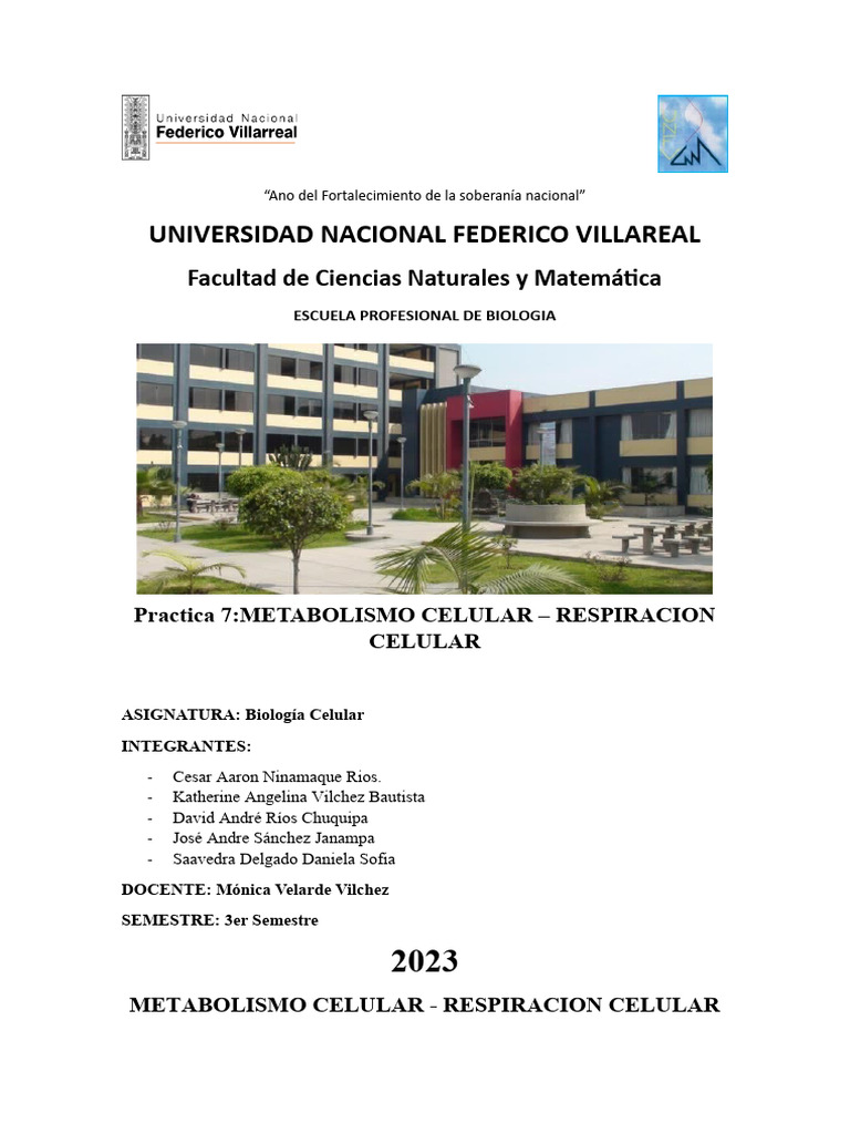 Caratula de Bio Celular Semana 7 | PDF | Metabolismo | Respiración celular