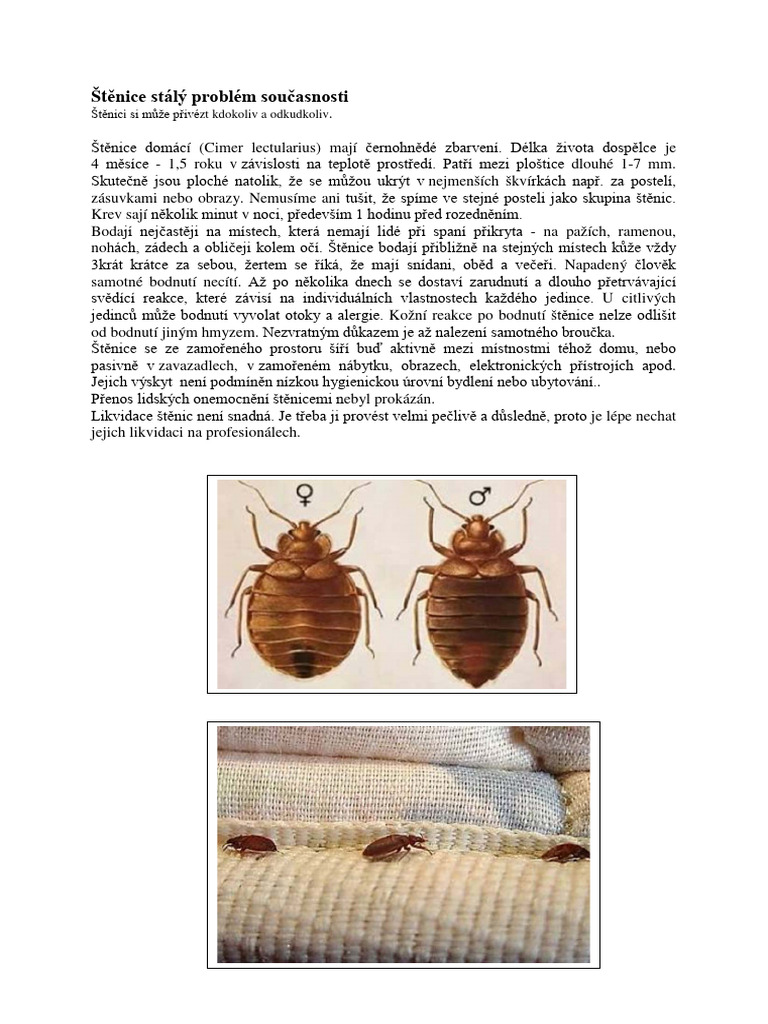 Stenice 2015 | PDF