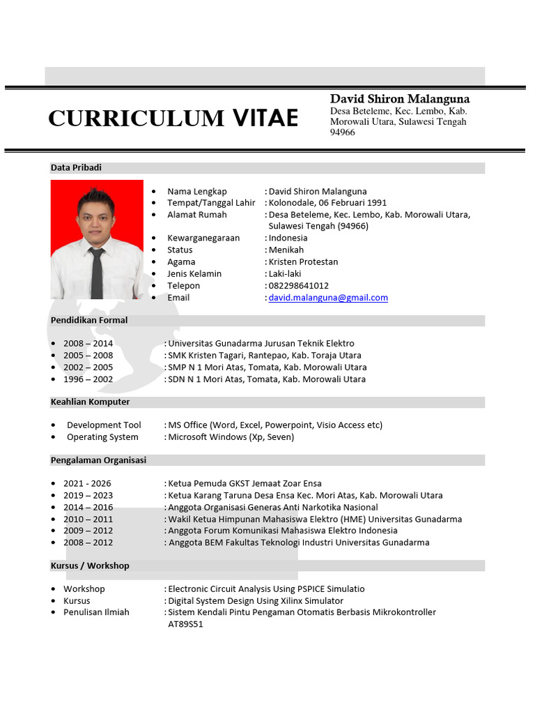 CV David | PDF