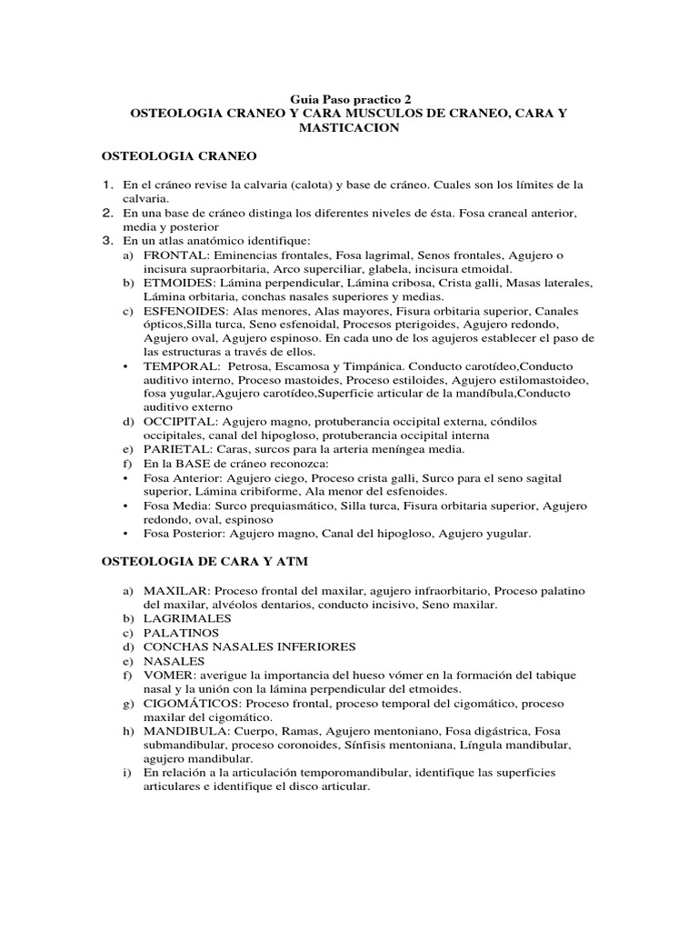 Guia N2 Anato Pdf Cráneo Anatomía