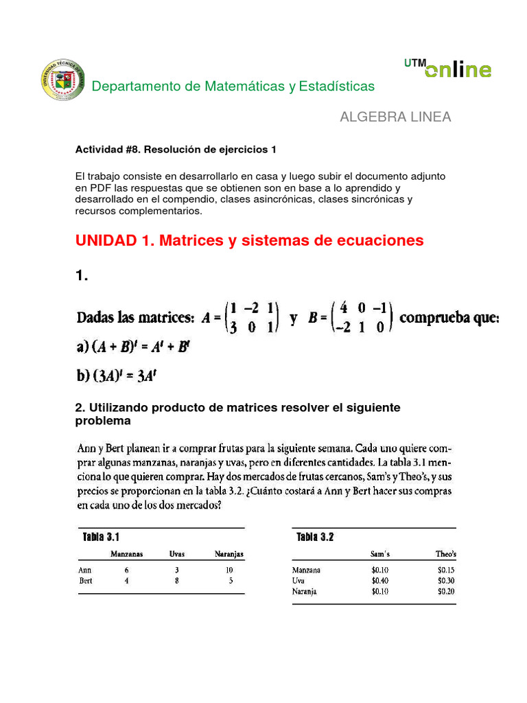 Actividad #8. Resolución de Ejercicios 1 | PDF | Determinante | Matriz (Matemáticas)