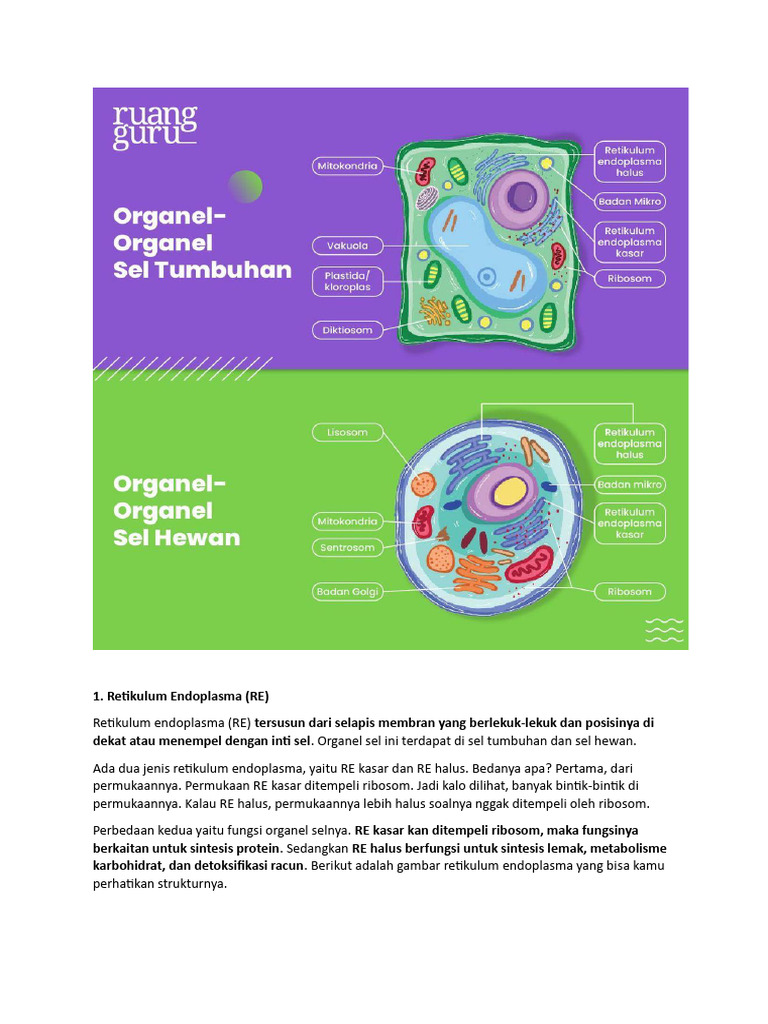 Fungsi dan Gambar Organel Sel | PDF