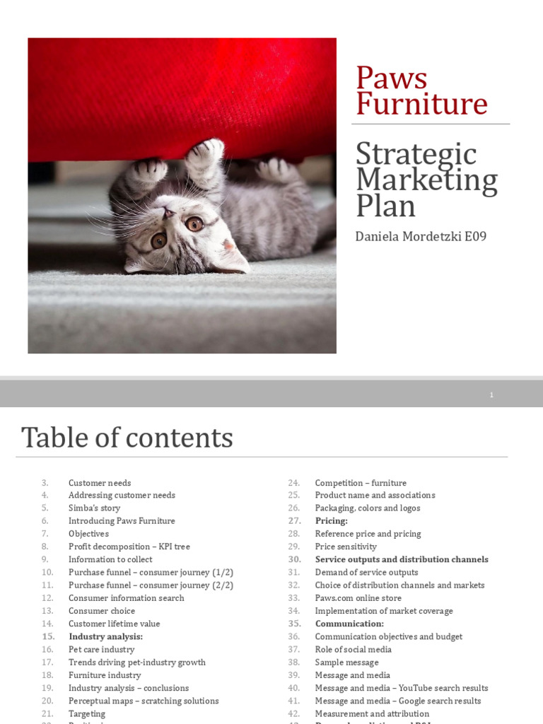 Example 1 - Strategic Marketing Plan | PDF