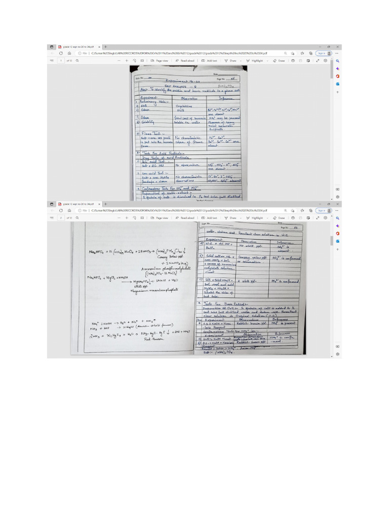 Grade 11 Salt Analysis 8 | PDF