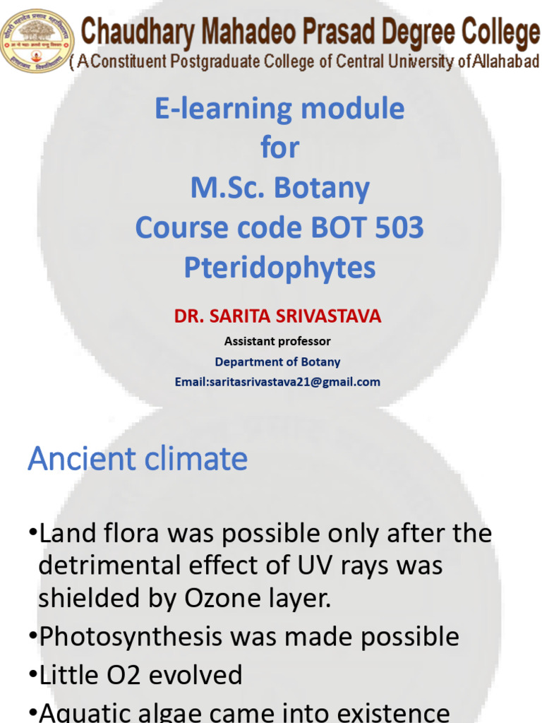 E Learning BOT 503 Pteridophytes Introduction | PDF | Anatomy | Eukaryotes