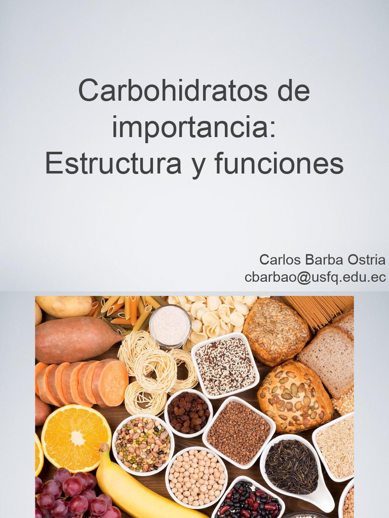 Carbohidratos de Importancia - Estructura y Funciones | PDF