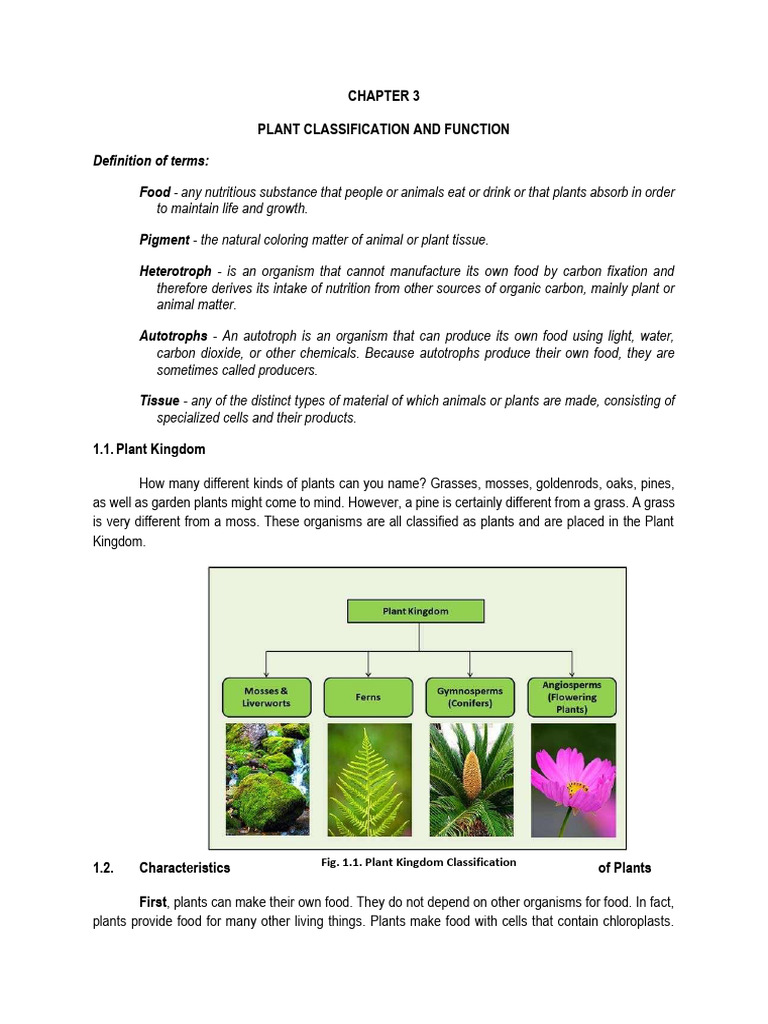 Chapter 3 | PDF | Cell (Biology) | Organisms
