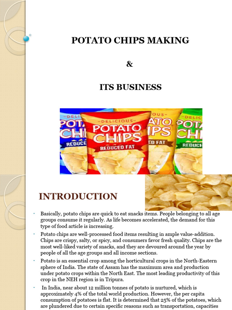 Potato Chips Making Business Plan | PDF