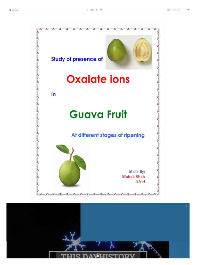 Screencapture Scribd Document 440962155 Chemistry Investigatory Project ...