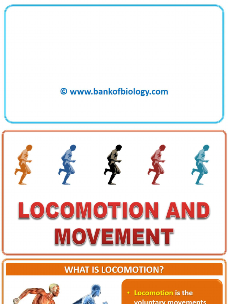 20 Locomotion N Movement | PDF