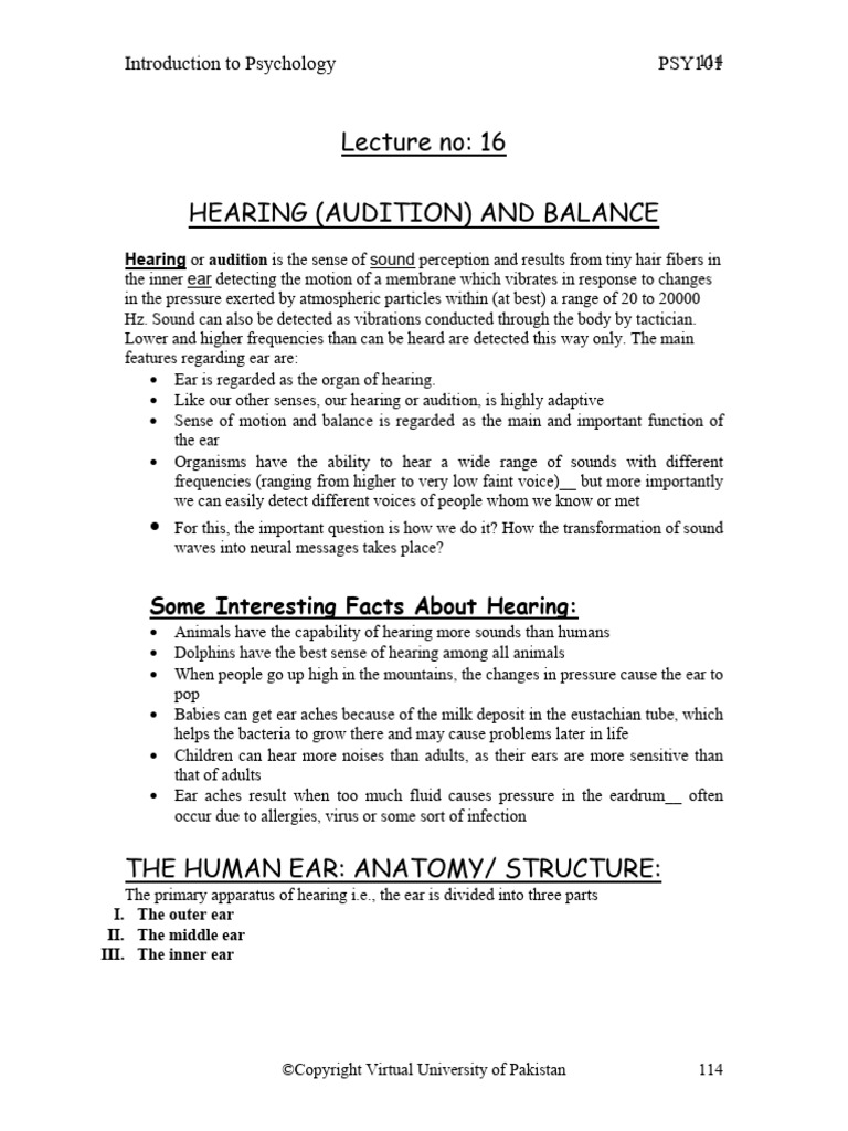 Lesson 16 Hearing Sense | Download Free PDF | Hearing | Ear