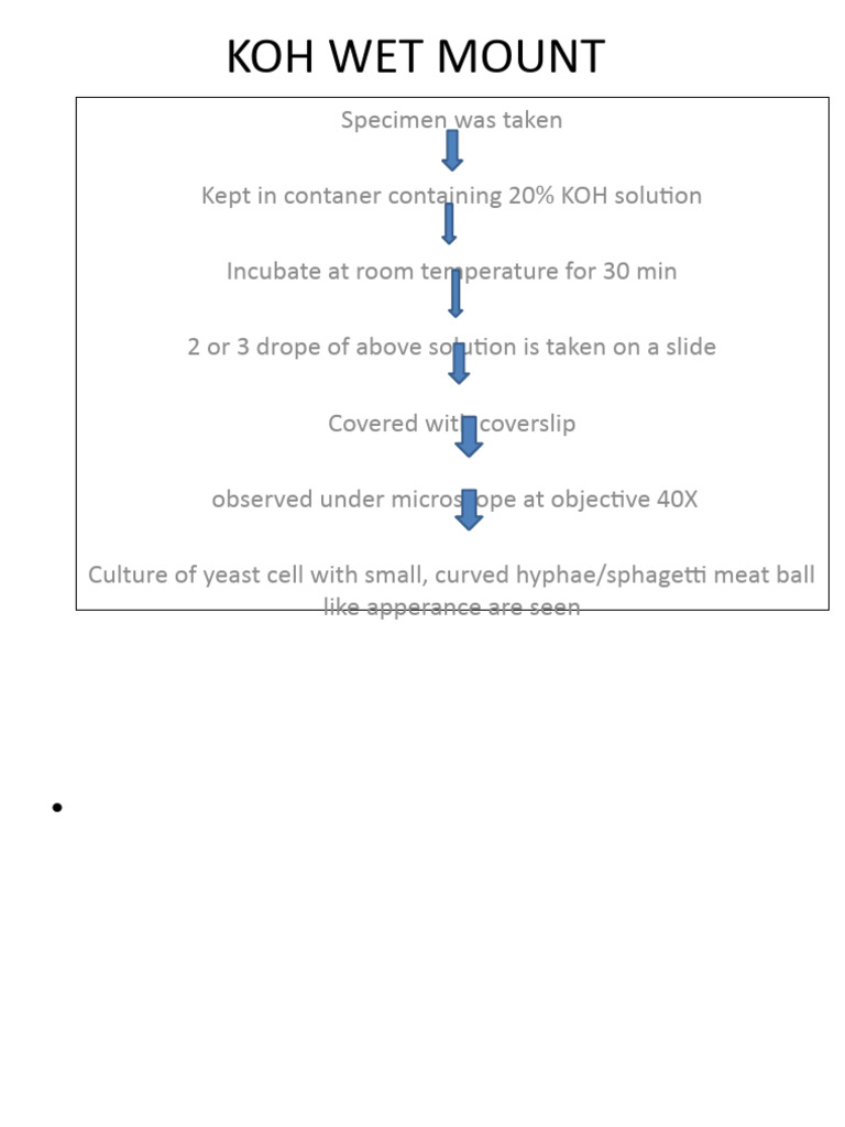 Koh Wet Mount | PDF | Wellness | Science & Mathematics