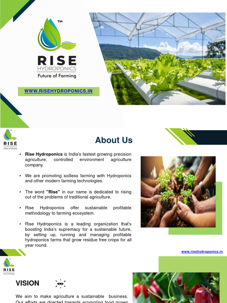Rise Company Profile June Updated | PDF