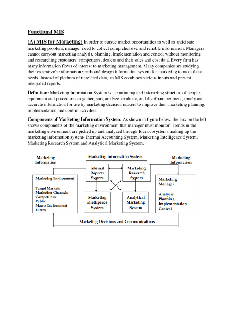 Optimizing MIS for Business Functions | PDF | Marketing | Human ...