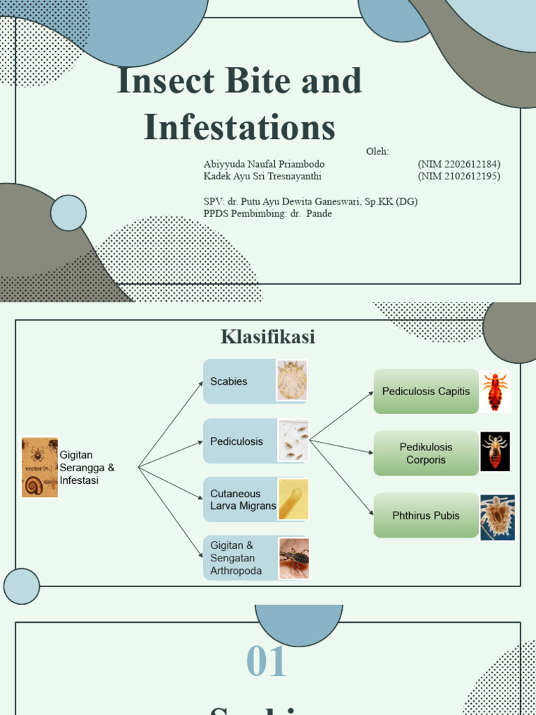Insect Bite & Infestations | PDF