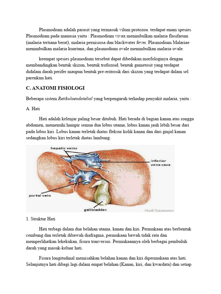 Okta Panjang Baru | PDF