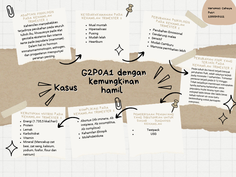 Mind Map Kehamilan | PDF