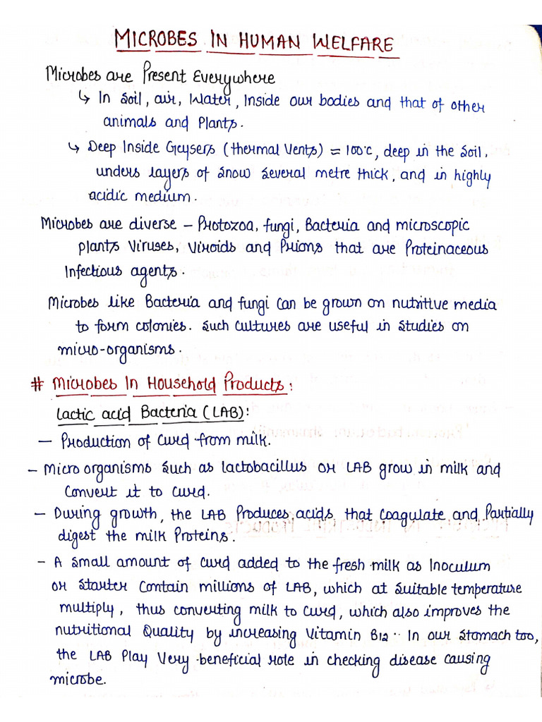 Microbes in Human Welfare | PDF