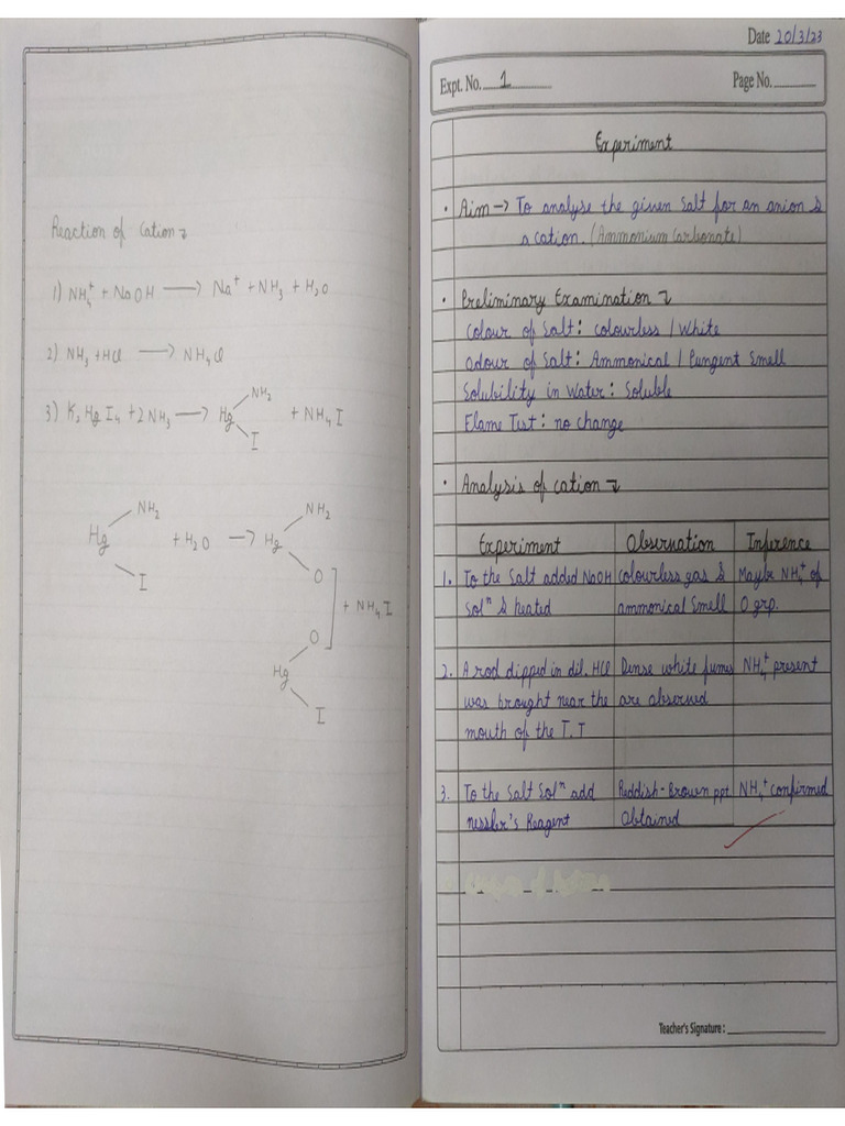 Chemistry Practical Work | PDF