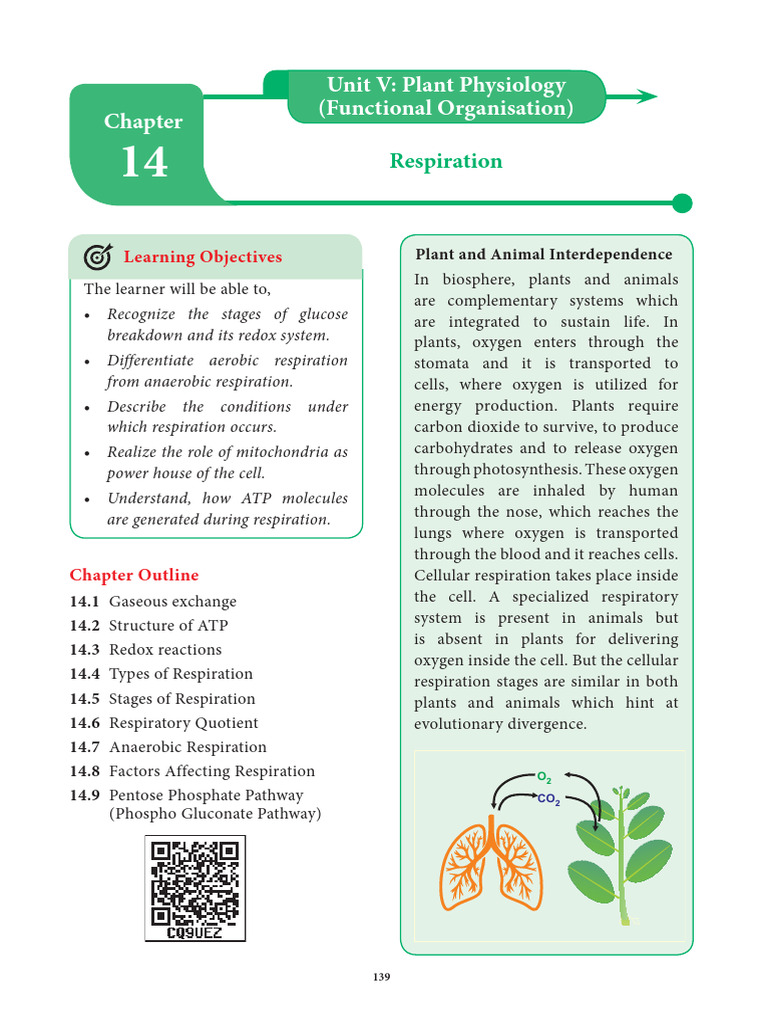 Unit V: Plant Physiology (Functional Organisation) : Respiration | PDF ...