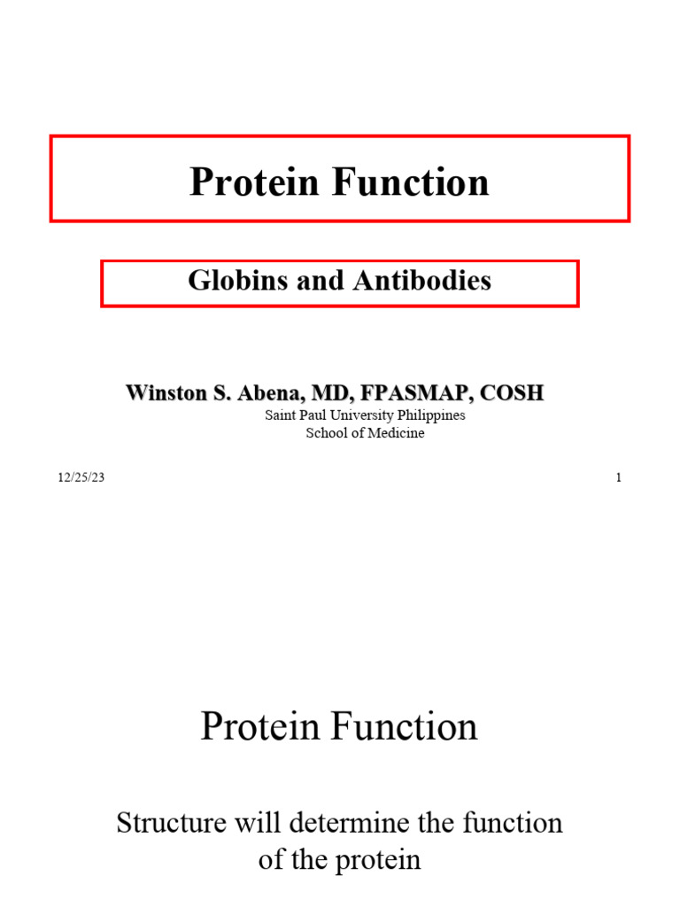 Protein Function Hemoglobin | PDF