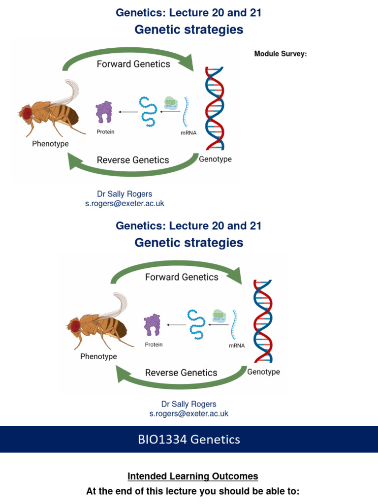 Genetics Lecture 20 SR 2023 | PDF | Science & Mathematics