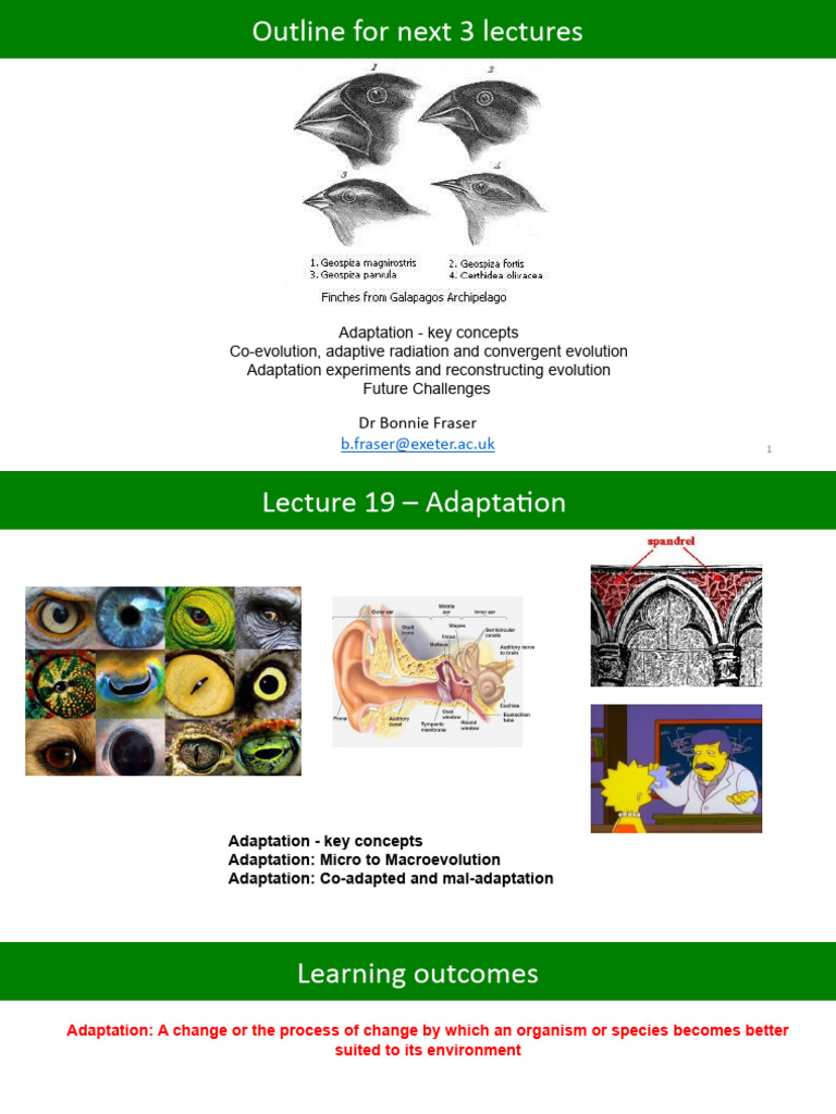 Lecture 17 Adaptation | PDF | Adaptation | Natural Selection