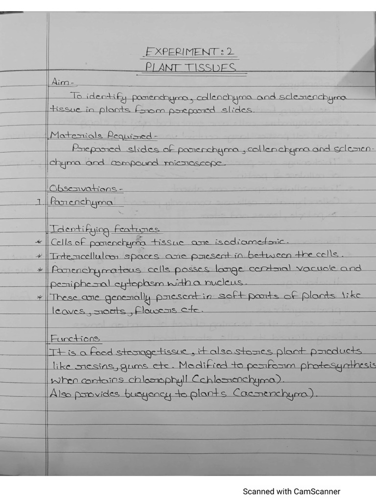 Experiment No .2 | PDF