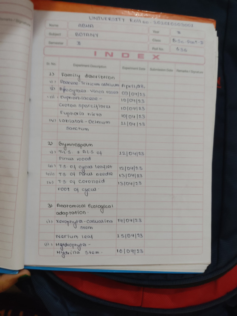 Botany Practical File | PDF