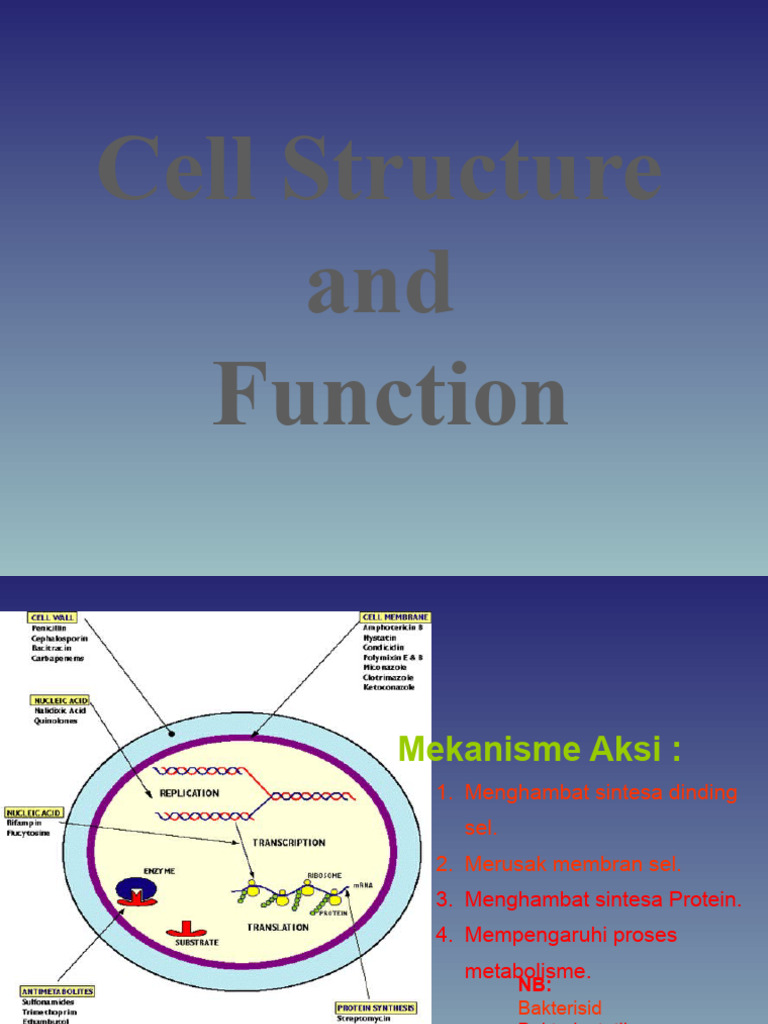 Biokimia Sel | PDF | Cell Membrane | Cell (Biology)