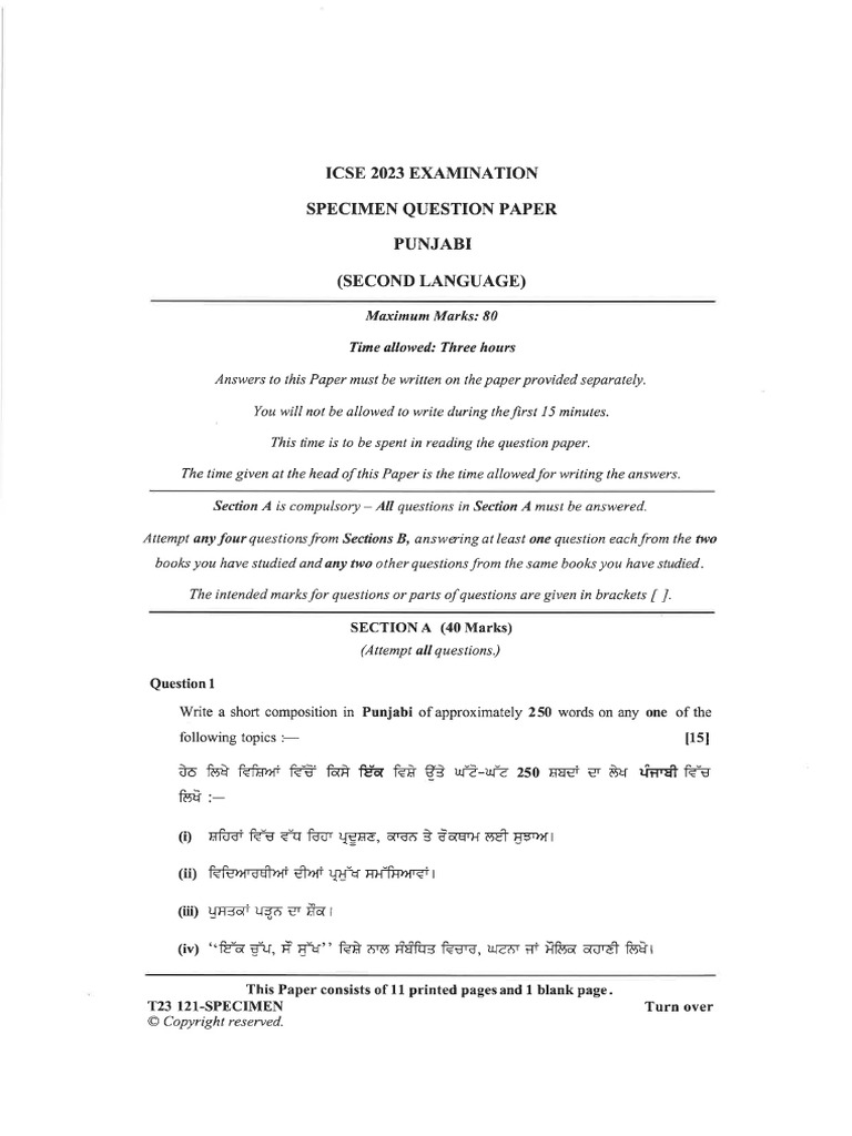 Icse 2023 Specimen Pun | PDF