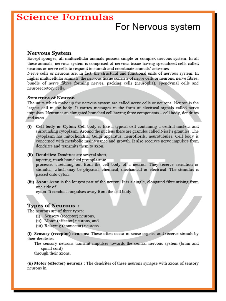 Human Nervous System | PDF | Central Nervous System | Nervous System