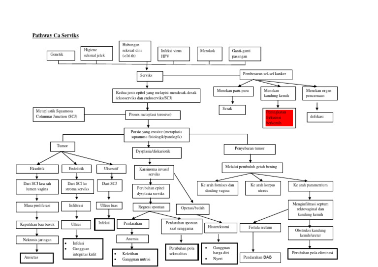Pathway Kanker Serviks | PDF