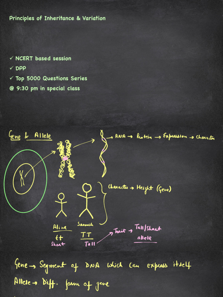 Principles of Inheritance & Variation | PDF | Dominance (Genetics) | Allele