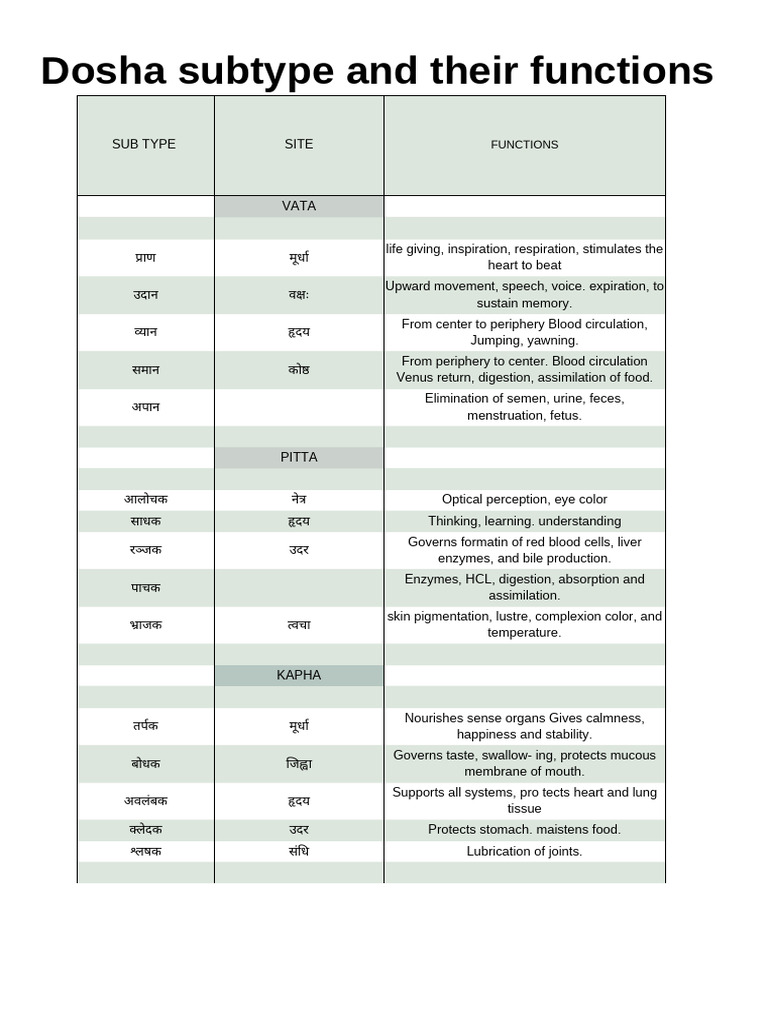 Functions of Vata, Pitta, and Kapha | PDF