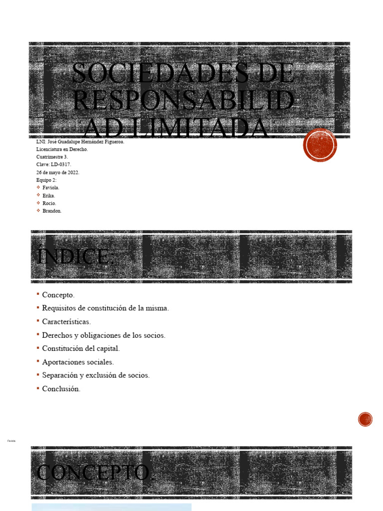 Sociedades de Responsabilidad Limitada | PDF | Negocios