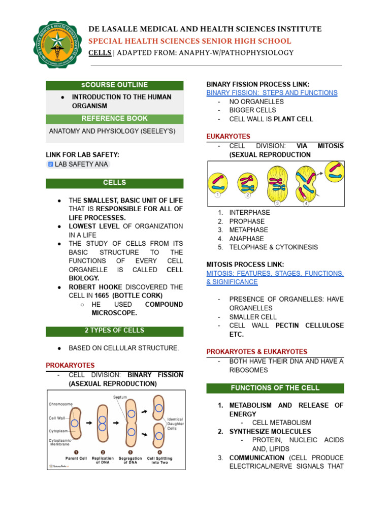 Cell Anatomy | PDF | Cell Membrane | Cell (Biology)