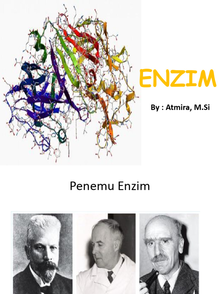 Enzim | PDF