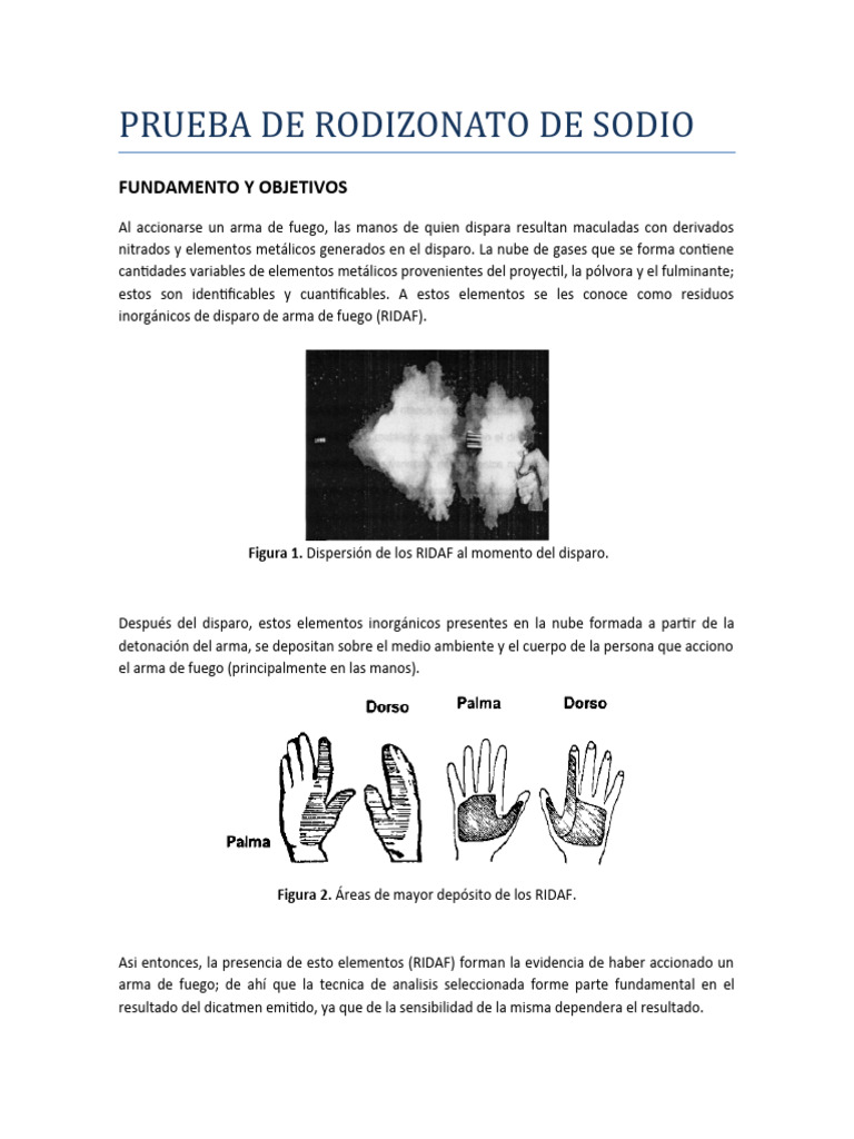 Prueba de Rodizonato de Sodio | PDF | Pólvora | Ácido clorhídrico