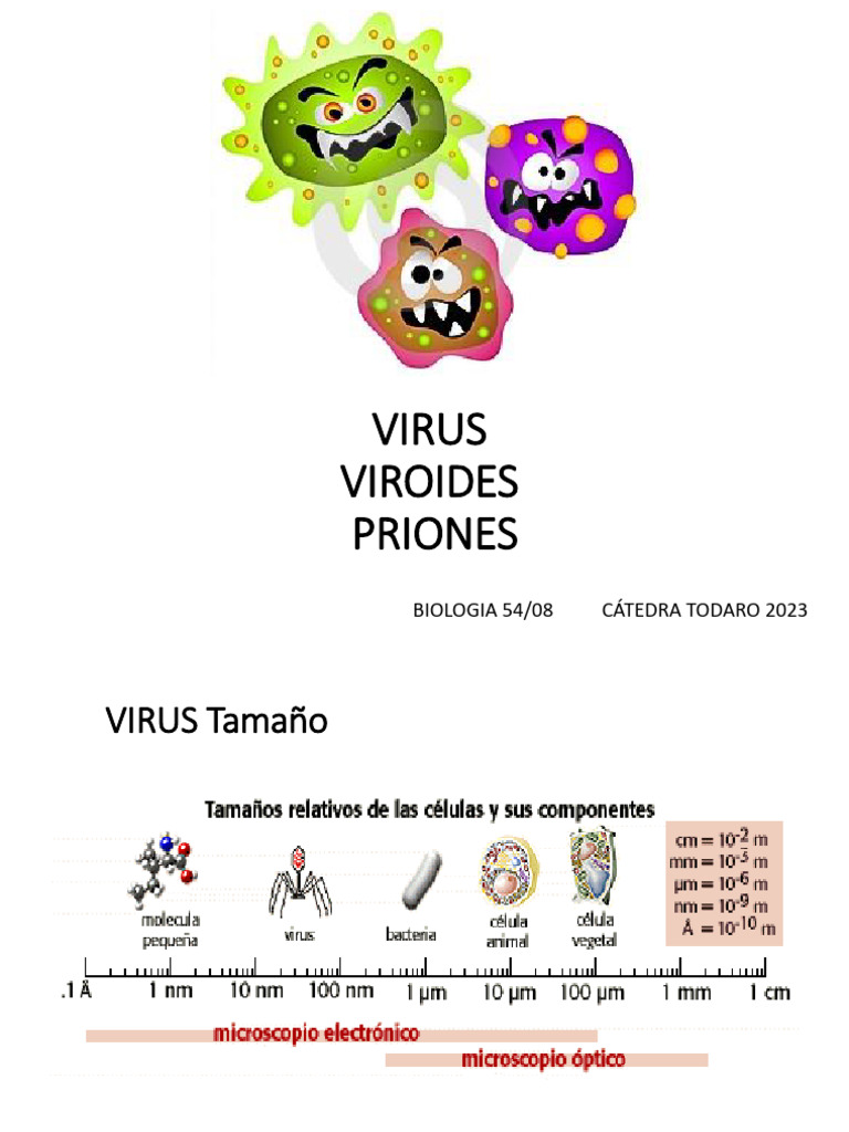 VIRUS TEMA 2 Importante | PDF | Virus | Biología Molecular