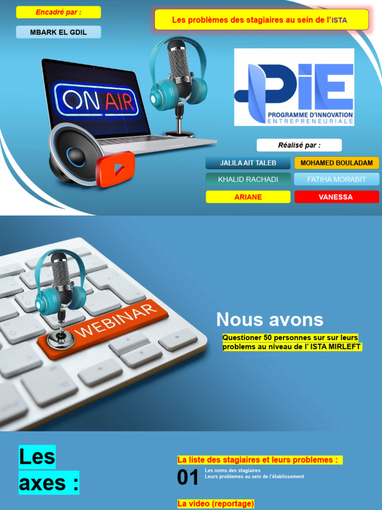Questionnaire PIE | PDF