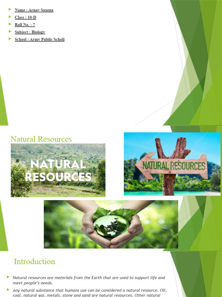Natural Resources | PDF | Ecosystem | Recycling