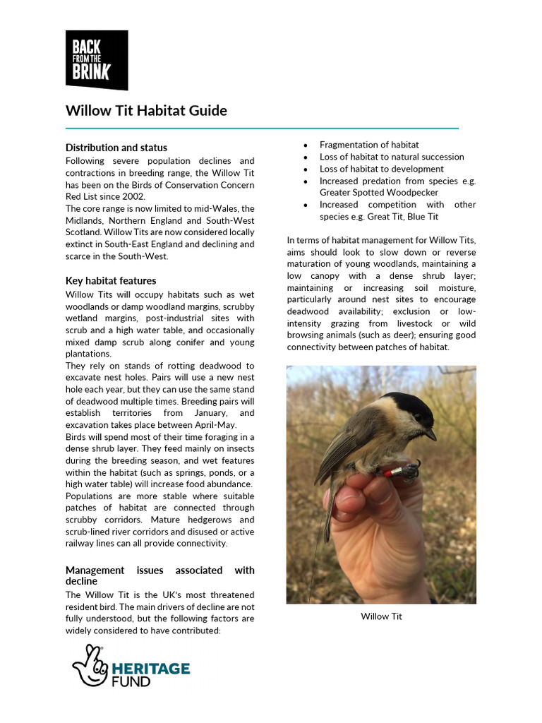 Willow Tit Habitat Guide | PDF | Habitat | Pond