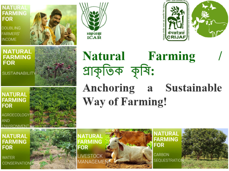 Natural Farming | PDF