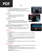 Medidas y Posiciones del Útero en Ecografía | PDF | Ultrasonido médico ...