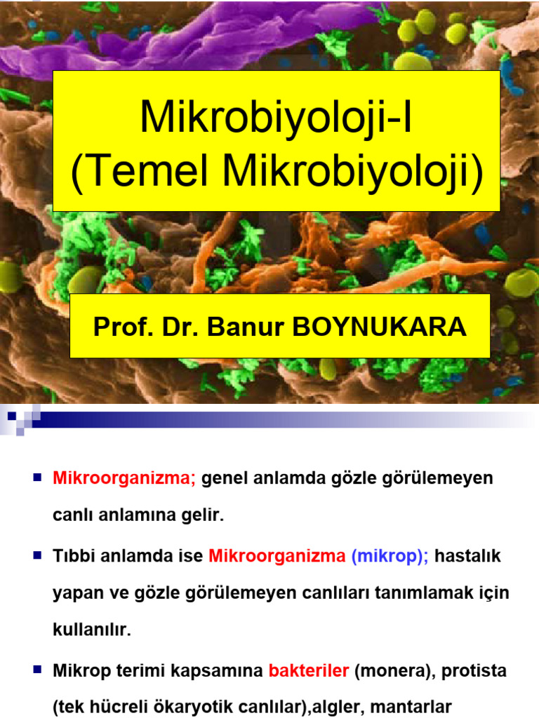 Mikrobiyoloji-I (Temel Mikrobiyoloji) : Prof. Dr. Banur BOYNUKARA | PDF