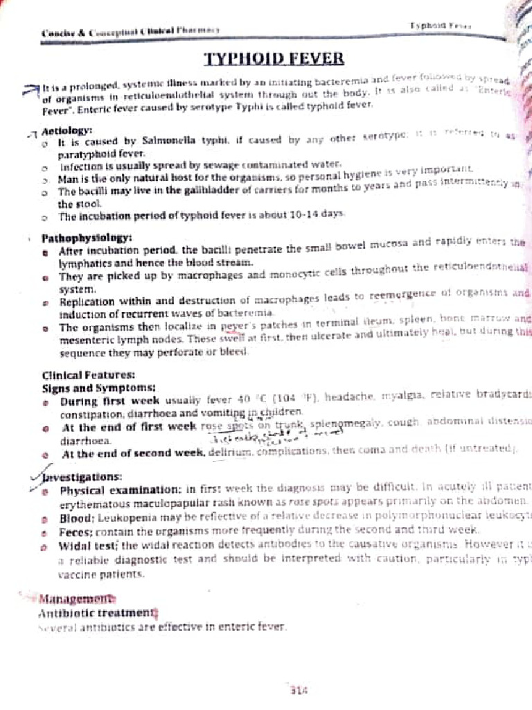 Typhoid Fever | PDF