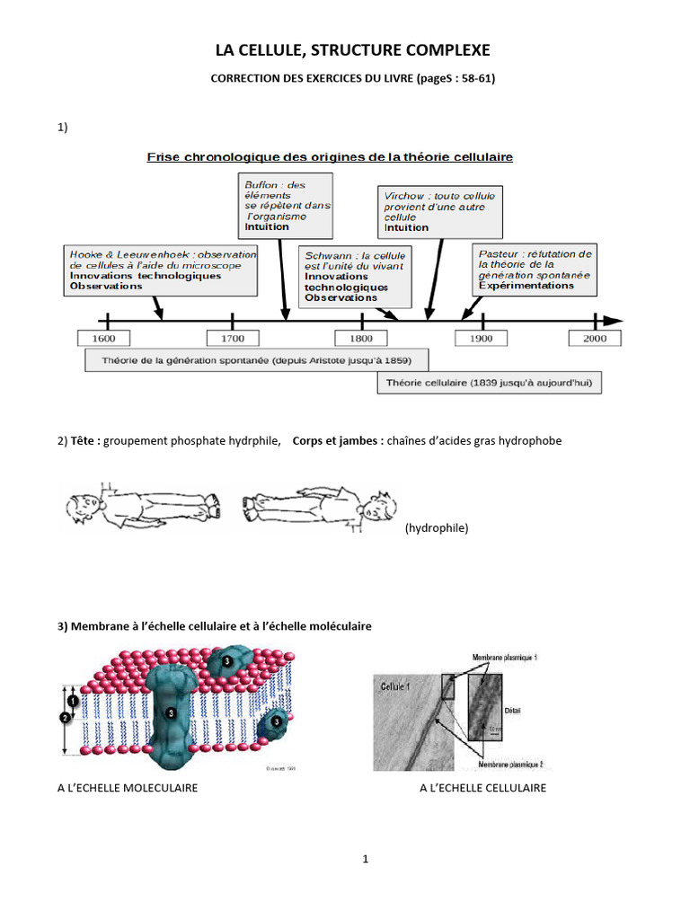 Correction Cellule Structure Complexe' ' ' | PDF | Cellule (Biologie ...