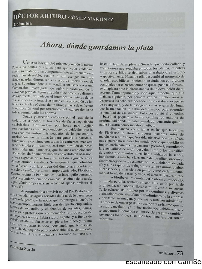 Ahora Donde Guardamos La Plata | PDF